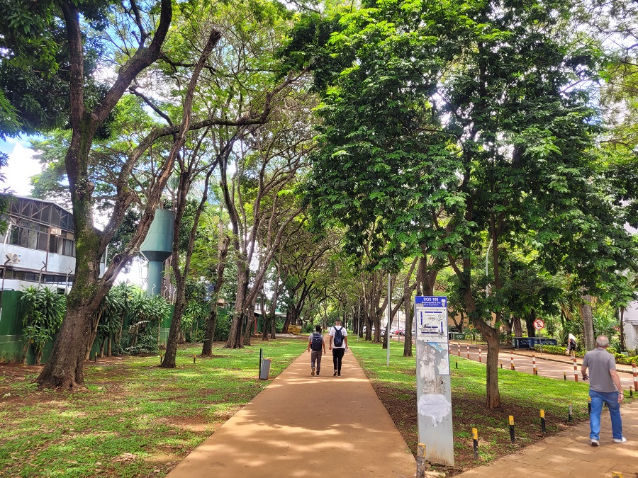 Calçadas de Brasília – Dia da Acessibilidade | Brasília para Pessoas